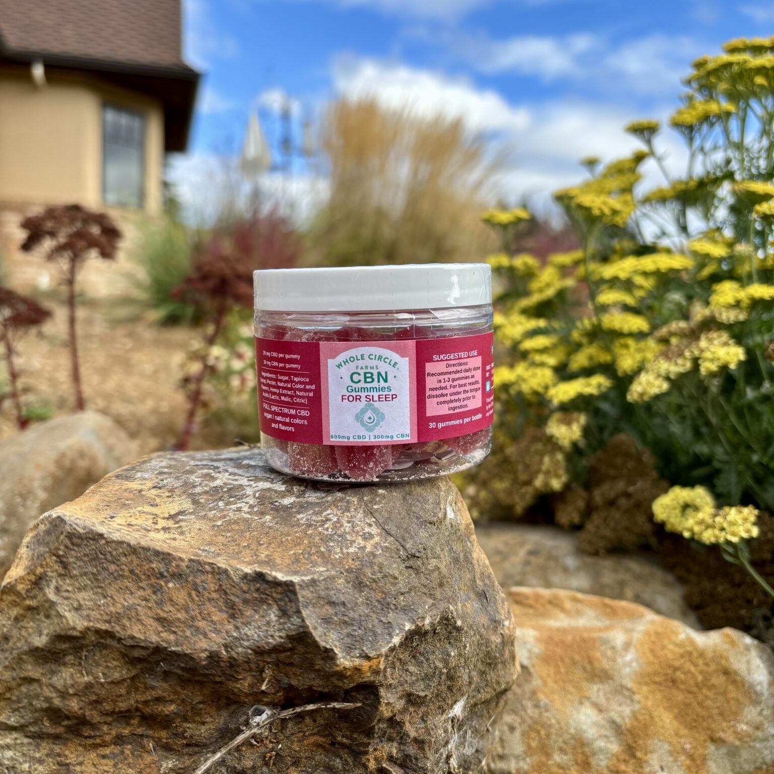 CBD + CBN Sleep Gummies for Restful Sleep | Whole Circle Farms